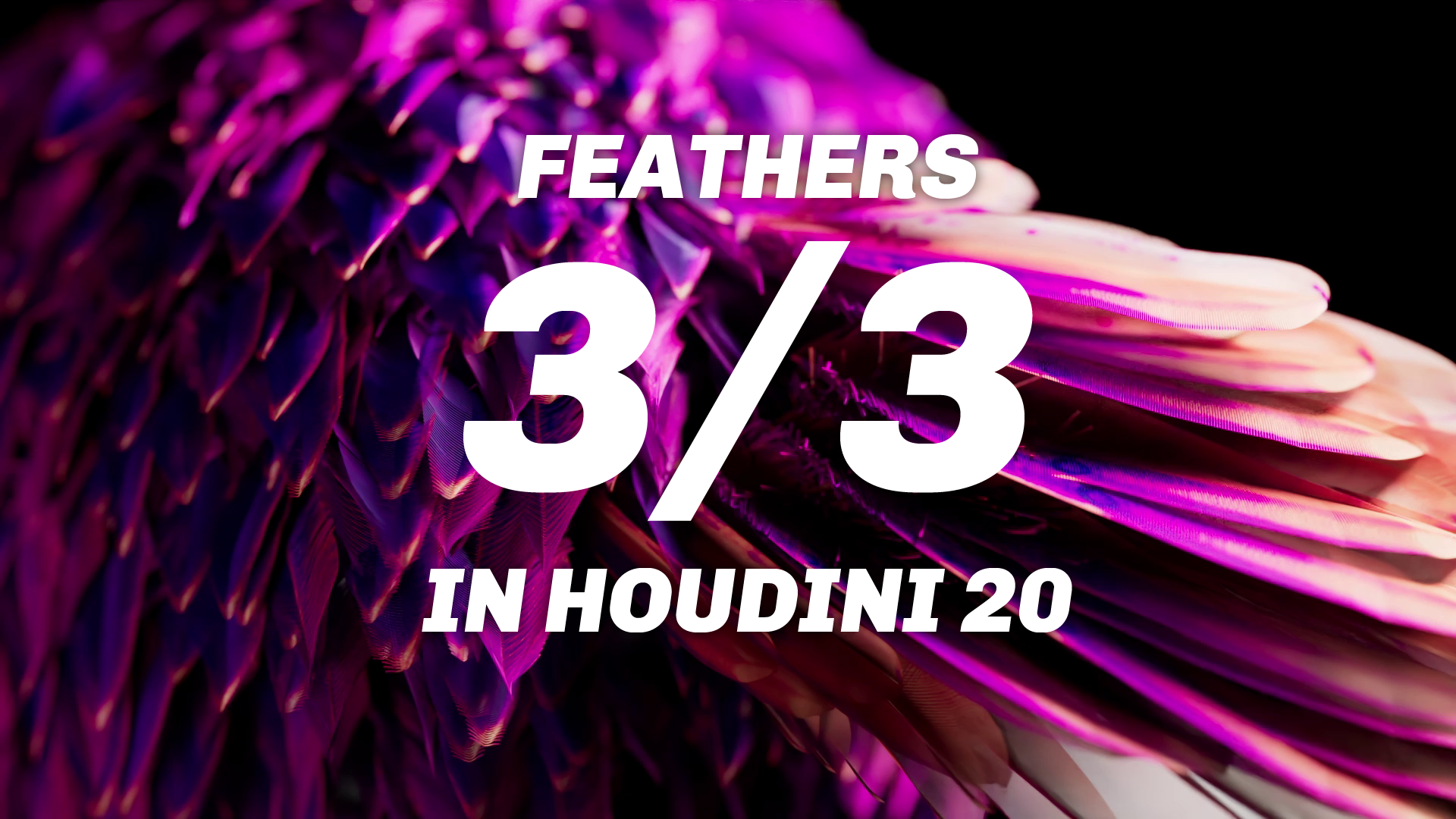 Free Tutorials – Entagma